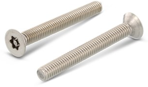 DIN 7991 / ISO 10642 Veiligheidsschroef VK/TX10 + pin M3x6 RVS-A2 (100 ...